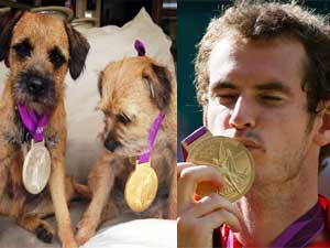 Andy Murray's precious Olympic medals rest with his dogs | London ...