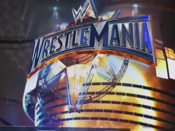 Wwe Wrestlemania 30 Logo 3d