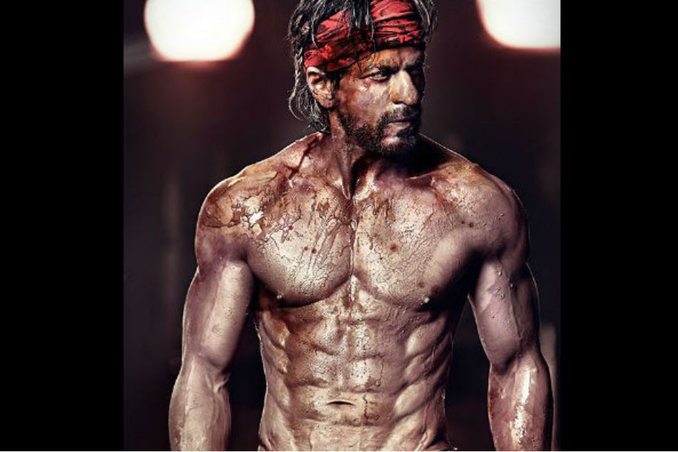 5 alternative sports careers for SRK from his movies - myKhel