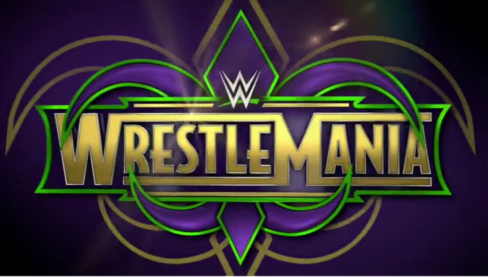 Wrestlemania 13 Logo